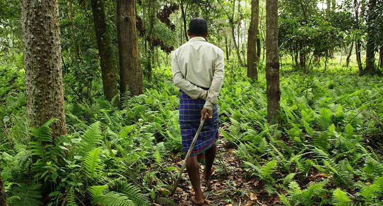 Saturday Matinee - Forest Man – El Chuqueño